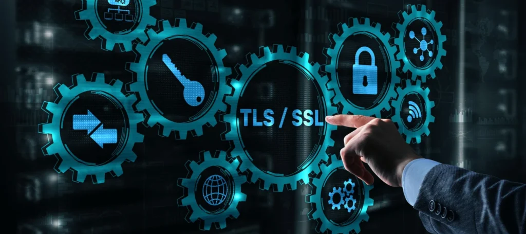 SSL vs TLS: diferencias críticas que impactan seguridad y SEO - Blog NEUBOX
